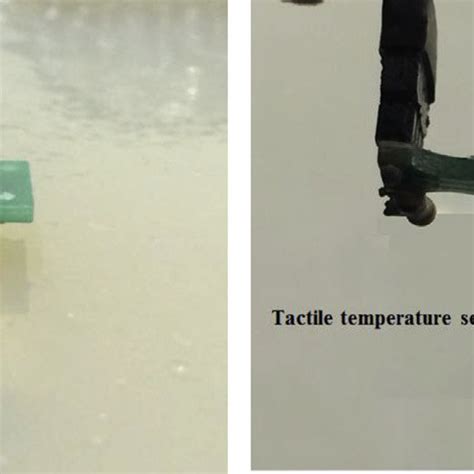End Effector Of The Haptic Thermal Robot A Tactile Temperature