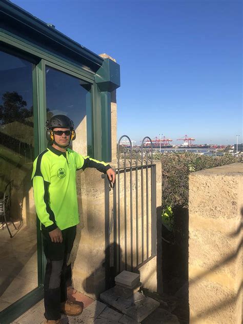 Perth Tree Pruning Professional Tree Trimming Services