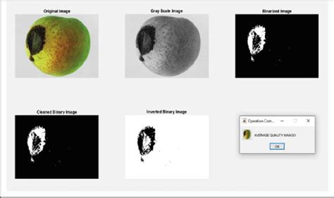 Steps Of Defect Discrimination Of Mango Fruit With Average Flaw Mark