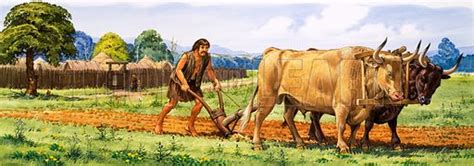 Neolithic Agriculture The Neolithic Revolution—facts And Information