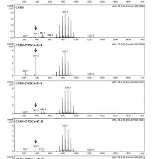HPLC MS Analysis Showed Molecular Masses M H H O Of Da Download Scientific Diagram