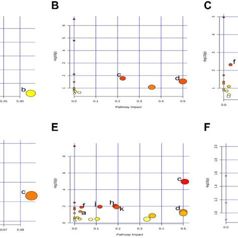 Pathway Analysis Results Produced Using Metaboanalyst 5 0 Raw P