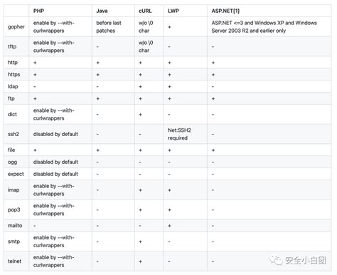 【2025版】最新ssrf漏洞利用指南，从零基础到精通，收藏这篇就够了！ Csdn博客