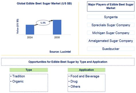 Edible Beet Sugar Market Report Trends Forecast And Competitive