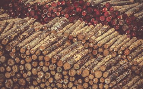 The Science Behind Durability Write Ahead Logging Explained