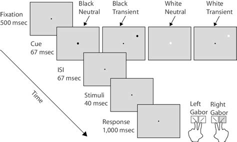 Sequence Of Events In A Single Trial Each Trial Began With A Fixation