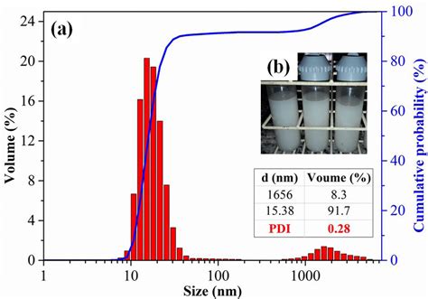 a particle size distribution examined by dls analysis and b