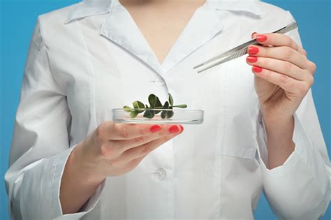 흰색 코트와 파란색 배경에 고글에 클로즈업 여자 핀셋과 식물의 잎을 보유 하 고 있습니다 과학의 개념 식물과 제품의 연구 Gmo 테스트 과학자 생물학자 이자 화학자 미생물