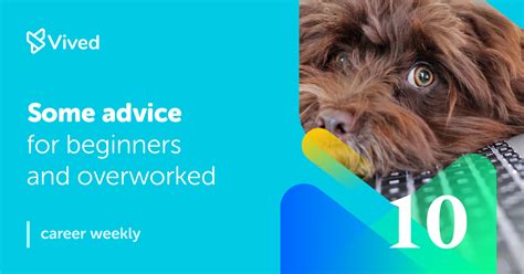 How To Code And Not Go Crazy Career Weekly Vol 10 Vived