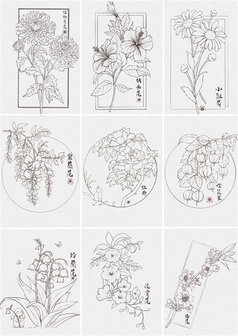 植物花卉线稿合集 花瓣网