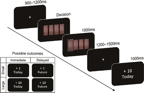 trial structure of the simple guessing task participants chose one