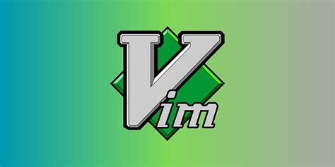 neovim vs vim comparing two of the best text editors [2024]