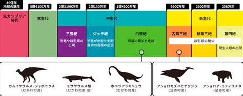 白亜紀から新生代へ恐竜化石をめぐるタイムトラベル 北海道デジタルミュージアム