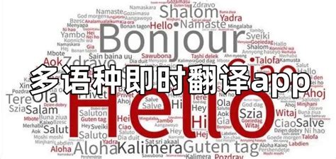 多语种即时翻译app 好用的即时多语翻译软件 常见多语翻译工具 Yx12345下载站