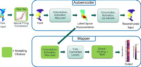 Figure From Mapping Motor Cortex Stimulation To Muscle Responses A Deep Neural Network