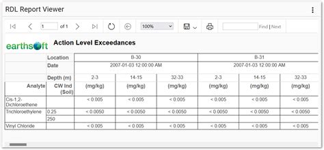 Rdl Report Viewer Widget
