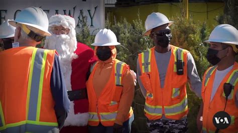 Елхи за смет Рециклираща компания в САЩ подарява коледни дръвчета Любопитно Светът