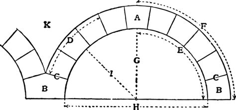 Gill Arch And Plates Vintage Illustration Illustration Art Engraved Vector Illustration Art