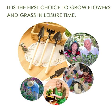 3 Pcsset Small Transplant Hand Tool For Multi Fun Vicedeal