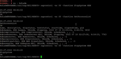 Sap Basis How To Reset System User Password Of Tenant Db And System Db