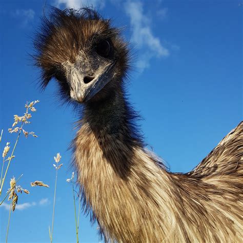 Refining Adding Darkness And Greyness Desktop Questions Macos And Windows Affinity Forum