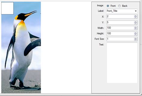 C Pictureboxinvalidate Not Re Rendering Correctly Stack Overflow