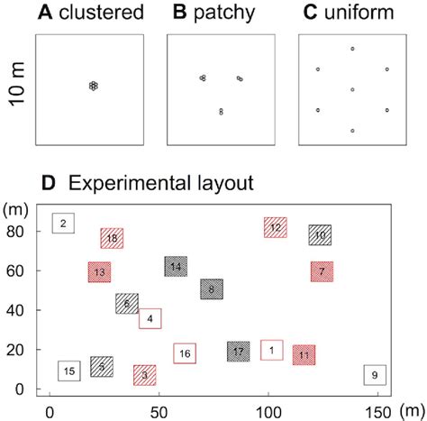 Figure 1 From Habitat Configuration Affects Spatial Pattern Of β Diversity Of Insect Communities