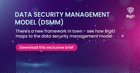 Bigid On Linkedin Datasecurity Dspm Dsmm