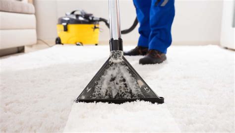 Химчистка ковров и ковролина в Житомире от Clean Team