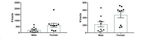 Sex Differences In Lhb Afferentefferent Streamline Count Left The
