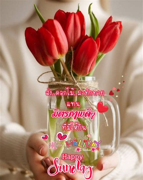 𝓗𝓪𝓹𝓹𝔂 𝓢𝓾𝓷𝓭𝓪𝔂 🍓🌿 สุขสันต์วันอาทิตย์ สวัสดีตอนเช้า อรุณสวัสดิ์