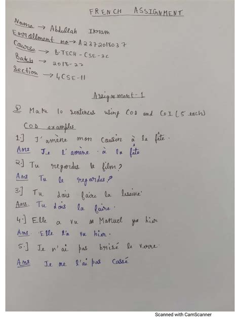 French Assignment Pdf