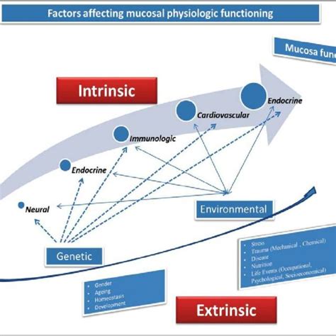 A Maxillary And Mandibular Faulty Prosthesis B The Prosthesis Download Scientific Diagram