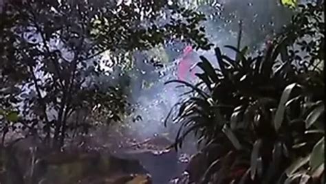 Playboy Wet Wild Iii Xhamster