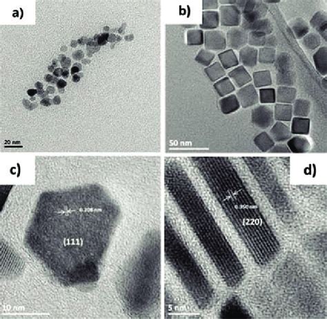 Different Shapes Of Mnps Transmission Electron Microscopy Tem Images Download Scientific