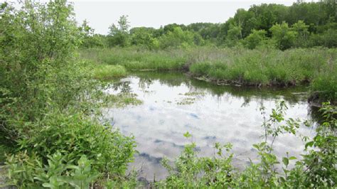 Trail Of Two Lakes From Sills Rd To Crookston Rd Ivanhoe Review 2