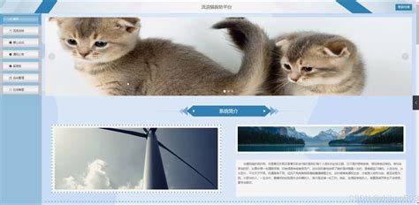 基于pythonflask框架的流浪猫救助平台（开题程序论文） 计算机毕设 Csdn博客