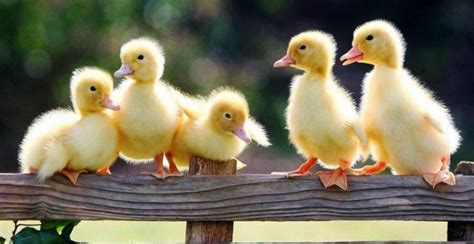 День комплиментов отметят во всем мире 1 марта 2025 года