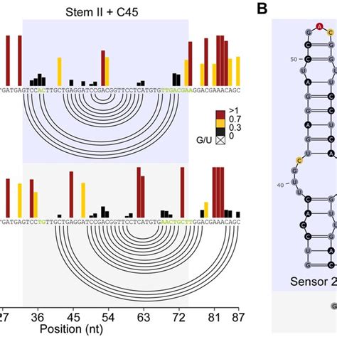 The Intracellular Fbp Sensor In Vivo Maintains The Structural Elements
