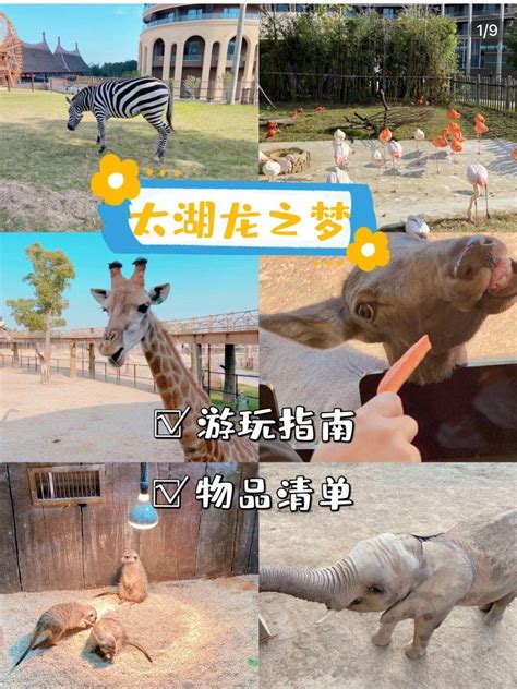 南京出发，亲子自驾游3小时内可达的14个旅行地 知乎