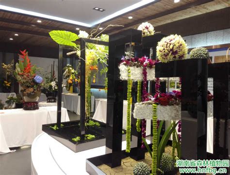 第九届花博会湖南插花大赛在湖南省森林植物园圆满落幕 中国植物园联盟
