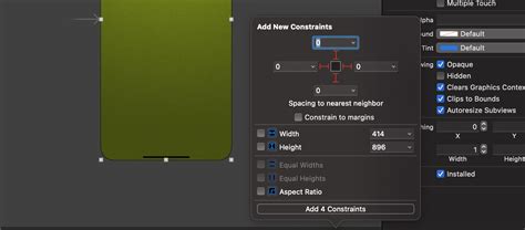 iOS Pinning Constraints Swift DGOS 동꿀오소리