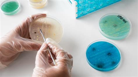 Asocian La Presencia De Metales Pesados Con Las Patologías Crónicas