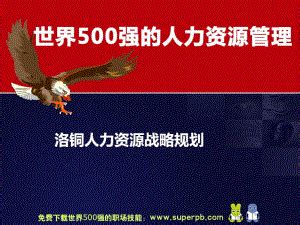 洛铜人力资源战略规划