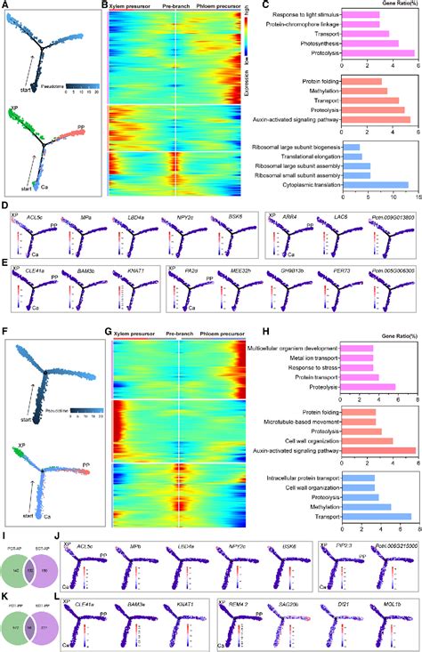 Figure 4 From Combining Single Cell Rna Sequencing With Spatial Transcriptome Analysis Reveals