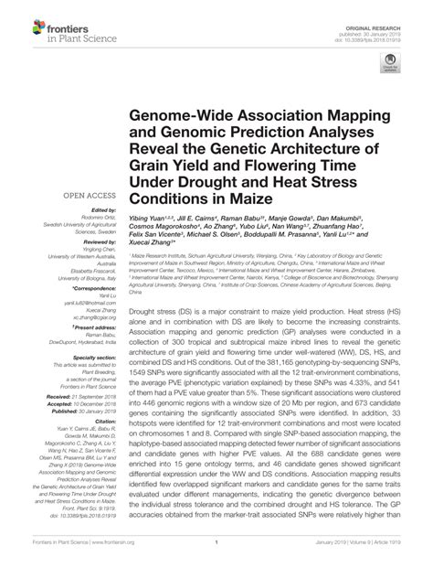 Pdf Genome Wide Association Mapping And Genomic Prediction Analyses