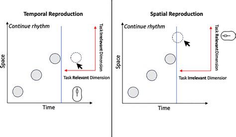 illustration of the experimental setup for the temporal reproduction