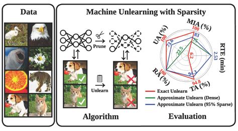 model sparsity can simplify machine unlearning papers with code