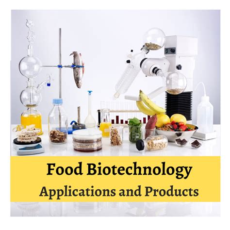 What Is The Food Biotechnology And Where Can We Find It In Our Daily Lives