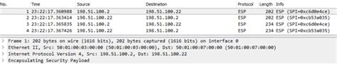VyOS Encrypted VXLAN Tunneling Datai Net